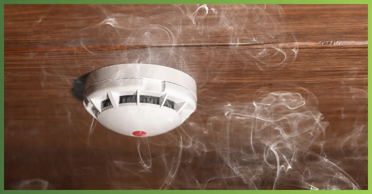 800371 Smoke Detector by Esser Honeywell | Fire Safety Sol